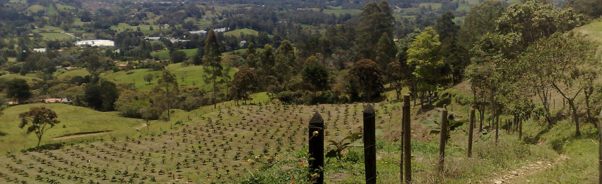 Alto El Capiro, Antioquia, Colombia - 9 Reviews, Map | AllTrails