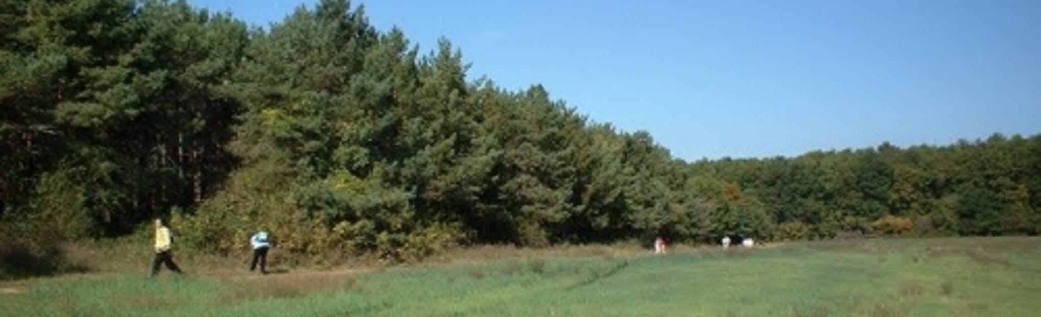 Forest Hike around Szólád, Somogy, Hungary - Map, Guide | AllTrails