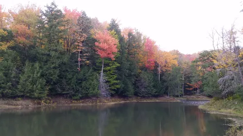 Best Hikes and Trails in East Otto State Forest | AllTrails