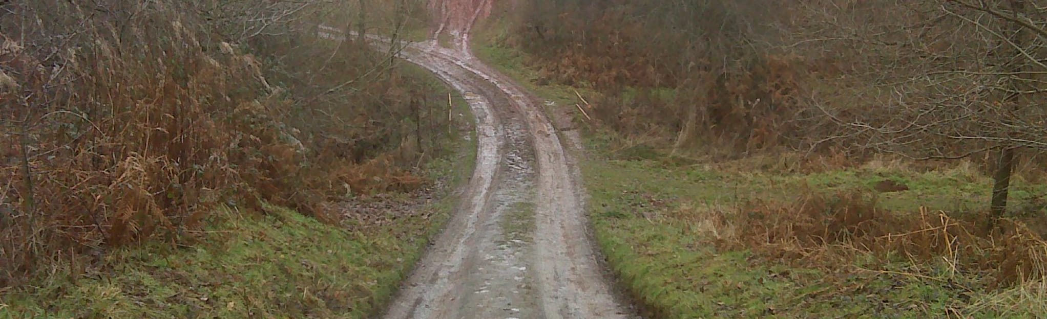 Bromyard Downs and Bringsty Common, Herefordshire, England - 4 Reviews ...