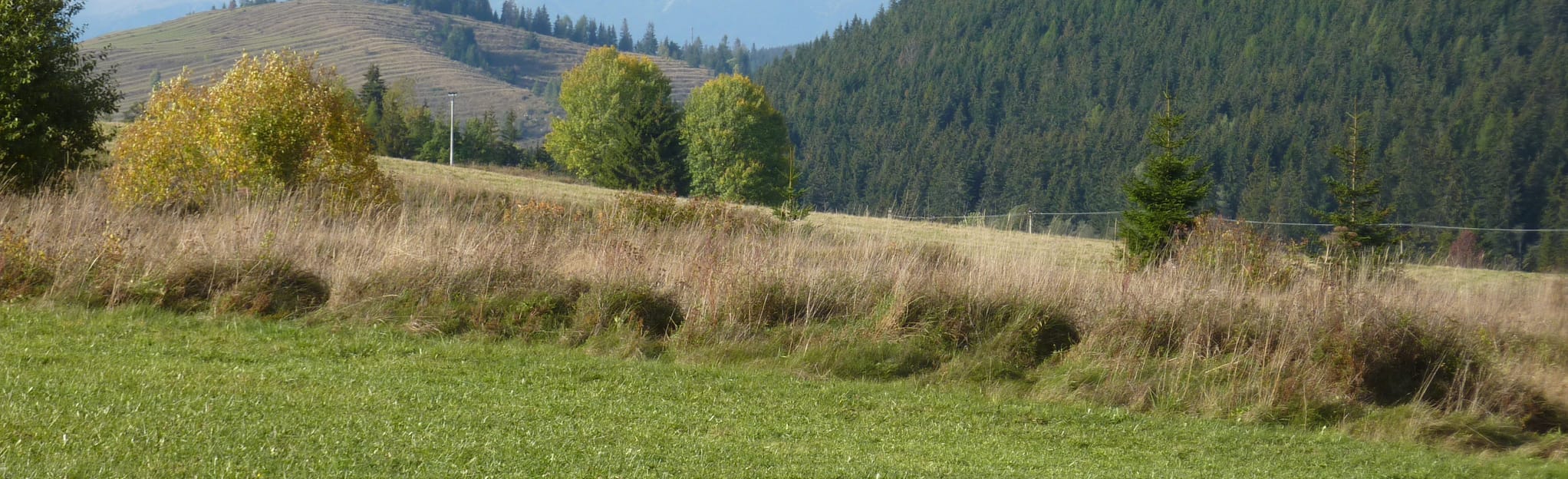 Liptovská Teplička - Horáreň Veľký Brunov, Prešovský kraj, Slovakia ...