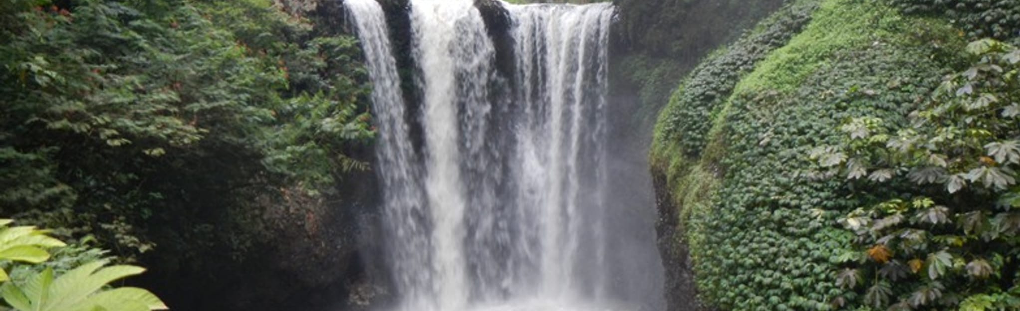 AllTrails | Ligar Trail: 1 Reviews, Map - West Java, Indonesia