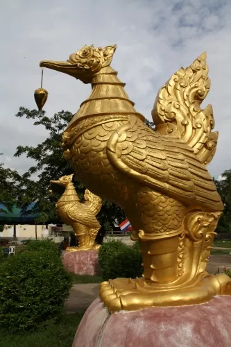 Best Forest Trails in Pak Kret | AllTrails