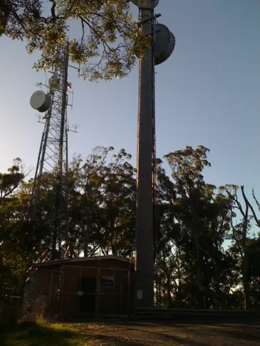 Best Hikes and Trails in Mount Warrenheip Flora Reserve | AllTrails