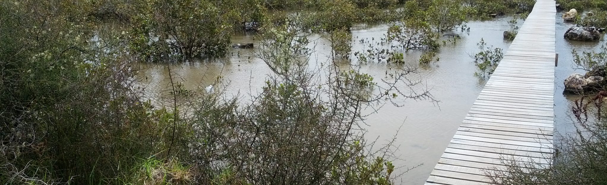 Okiato to Russell Walkway: 87 Reviews, Map - Northland, New Zealand ...