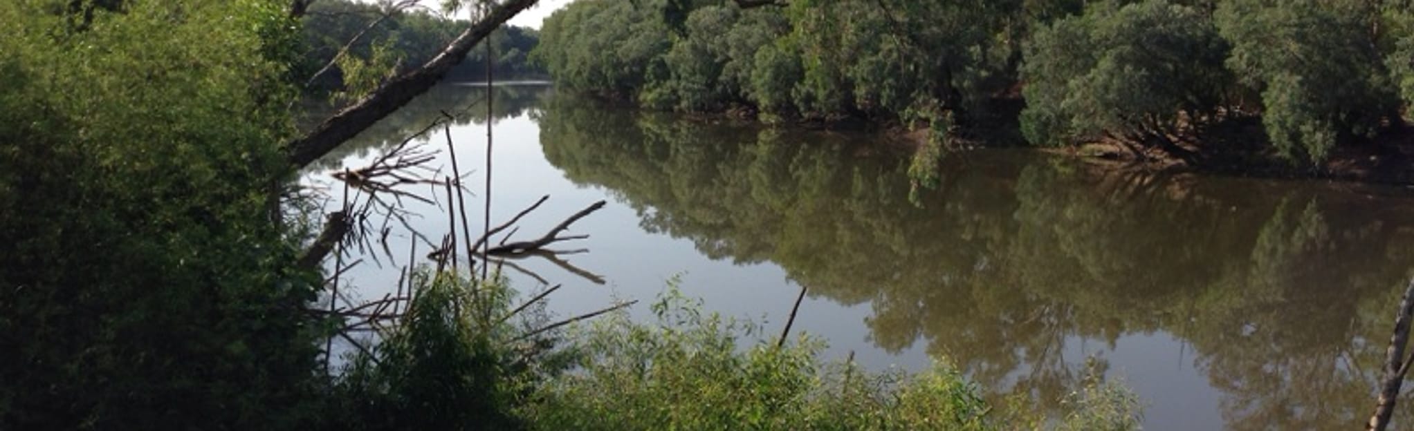 Mary River Station Bamboo Walk, Northern Territory, Australia - 3 ...