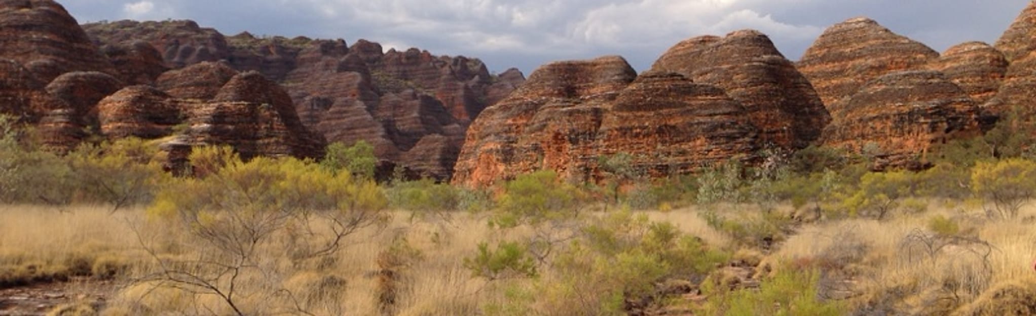 Cathedral Gorge Walk: 28 Reviews, Map - Western Australia, Australia ...
