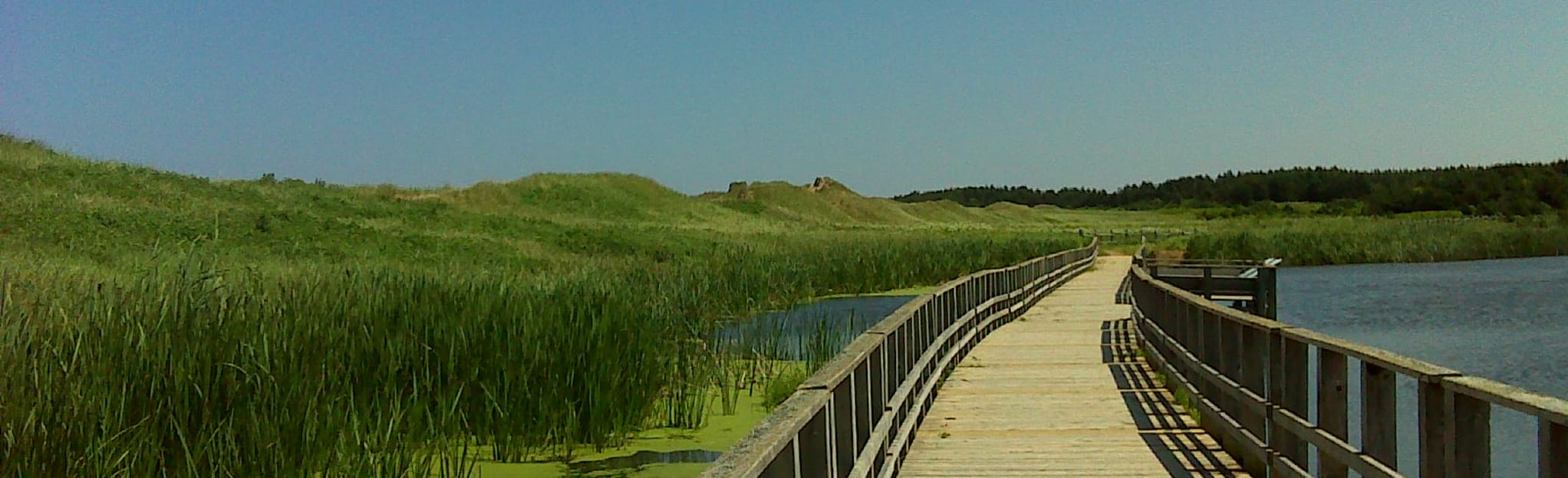 Cavendish Dunelands and Beach: 103 Reviews, Map - Prince Edward Island ...