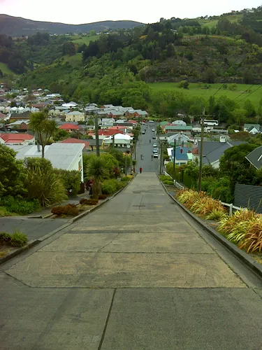 10 Best Trails and Hikes in Dunedin | AllTrails