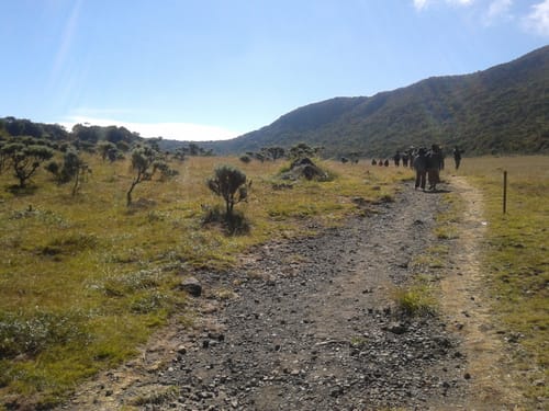 Best 10 Hikes and Trails in Mount Gede Pangrango National Park | AllTrails