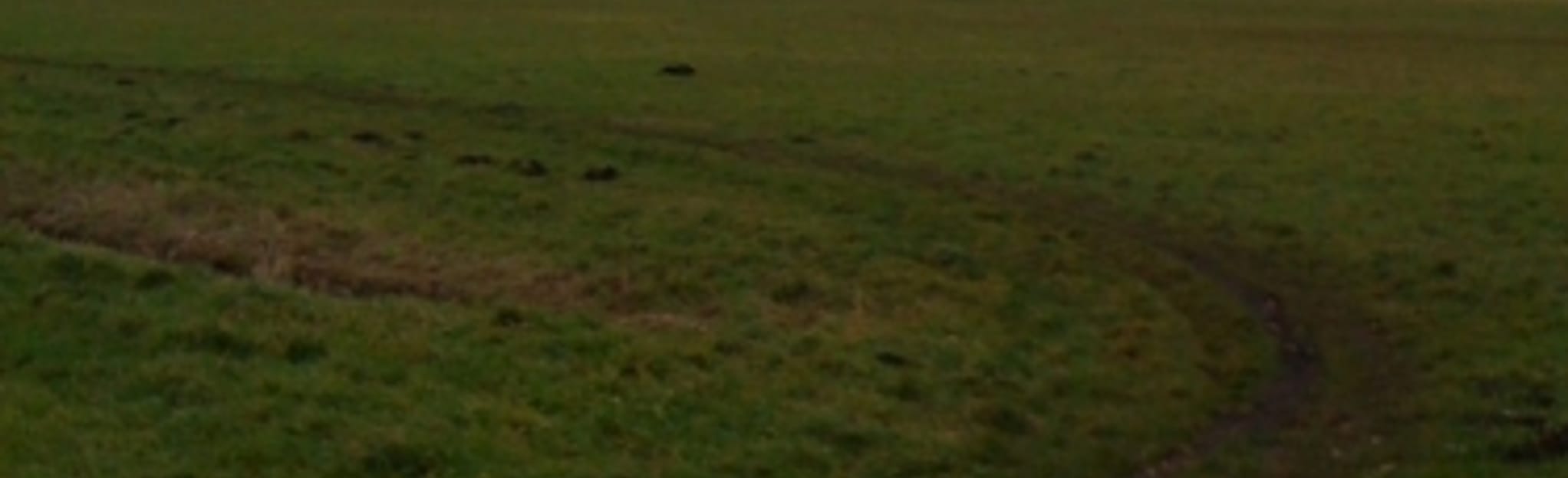 Bush meadows and poplar forest in Teltow, Brandenburg, Germany - Map ...