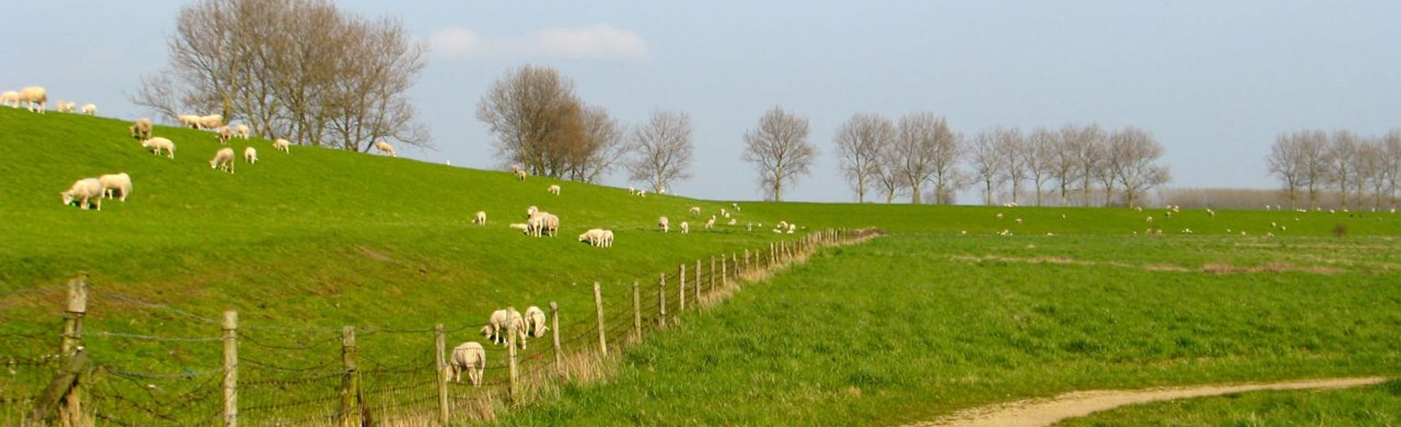 Slikken van Flakkee Rode Wandelroute: 0 Reviews, Map - South Holland ...