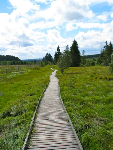 Natuurpark Hoge Venen – Eifel: de 10 beste routes om te wandelen ...