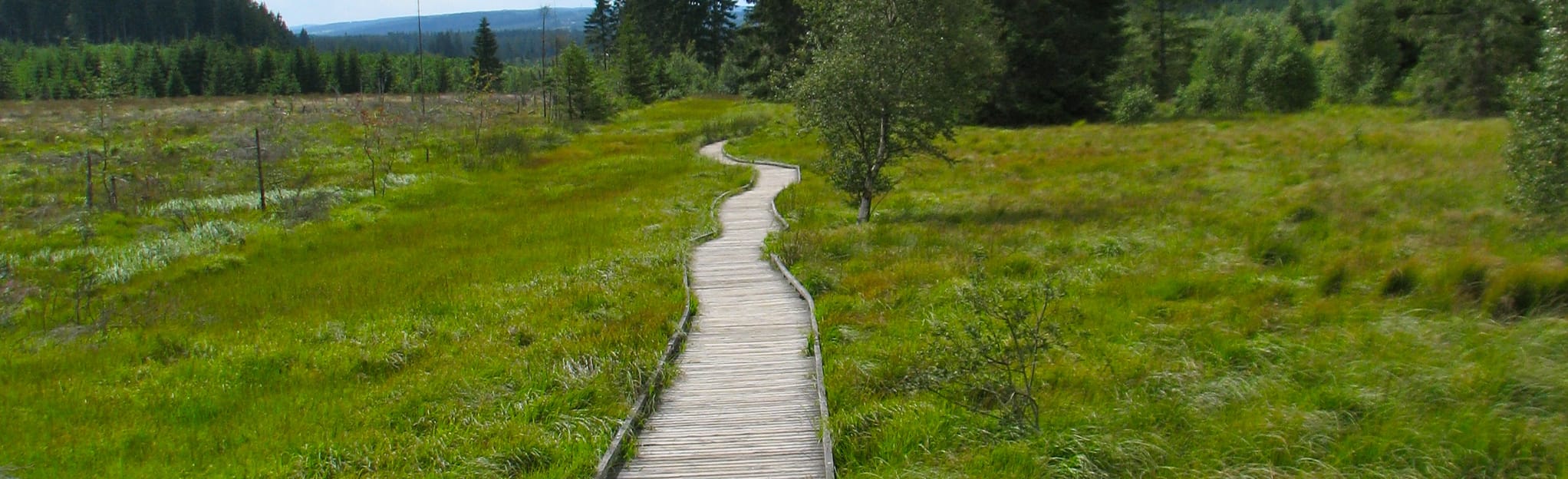 La Fagne de la Poleûr from Mont Rigi, Liège, Belgium - 97 Reviews, Map ...