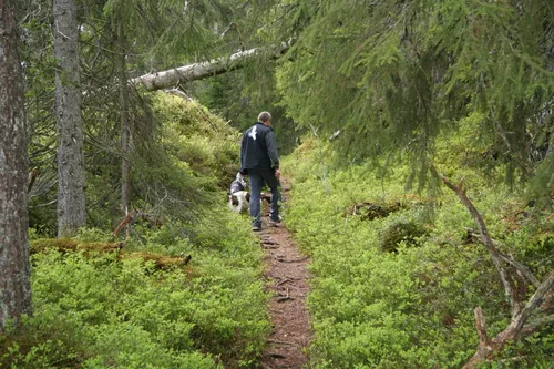 Best Hikes and Trails in Ekne | AllTrails