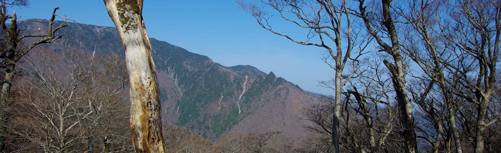 Omine Okugakemichi：Mt. Oomine, Nara, Japan - Map, Guide | AllTrails