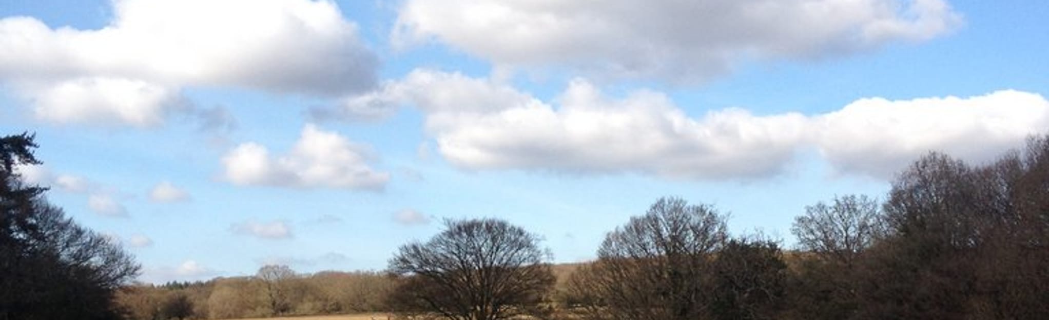 Rufus Stone and Lower Canterton Circular, Hampshire, England - 13 ...