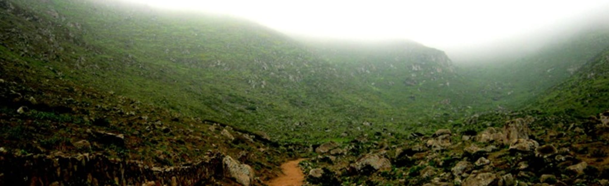 Lomas de Lúcumo Tourist Circuit, Lima, Peru - 6 Reviews, Map | AllTrails