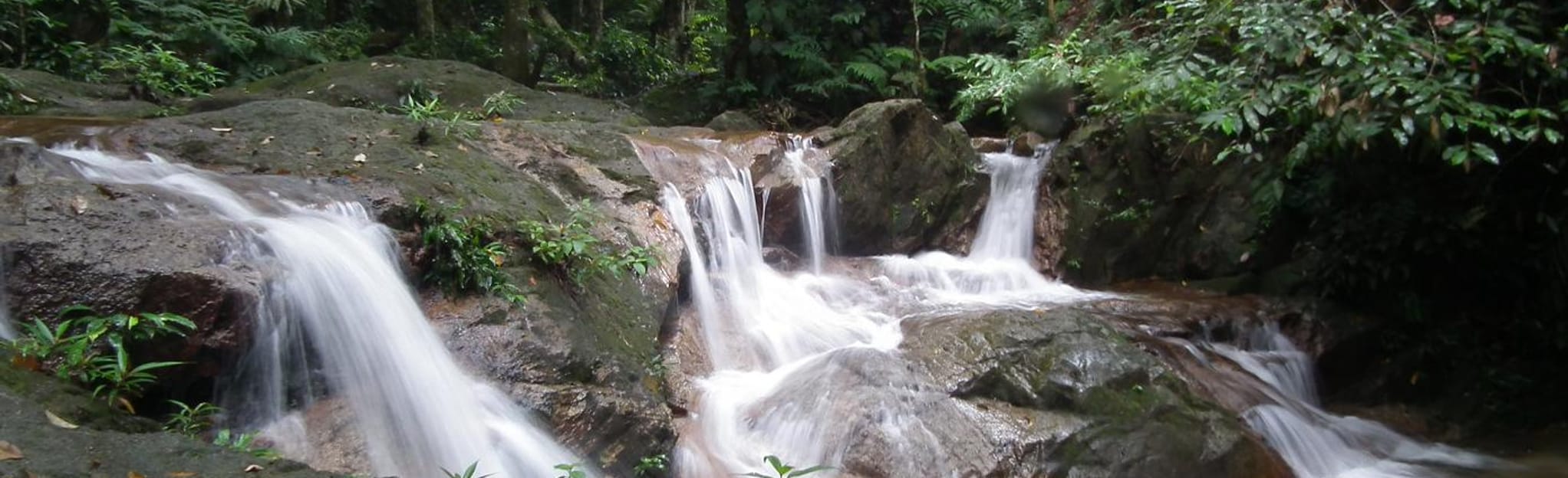 Gelung Air Terjun Sungai Pisang - Selangor, Malaysia | AllTrails