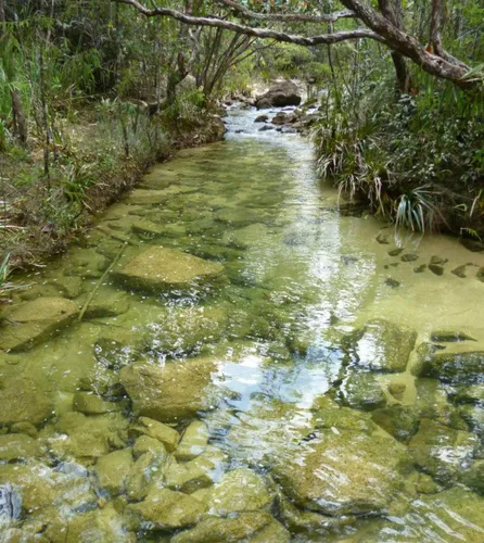 Best Hikes and Trails in Hutan Simpan Pasir Raja | AllTrails