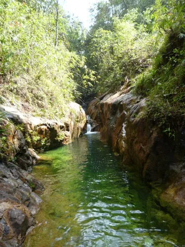 Best Hikes and Trails in Hutan Simpan Pasir Raja | AllTrails