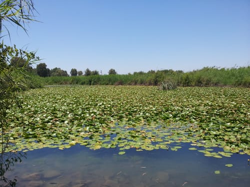 Best Hikes and Trails in Poleg Nature Reserve | AllTrails