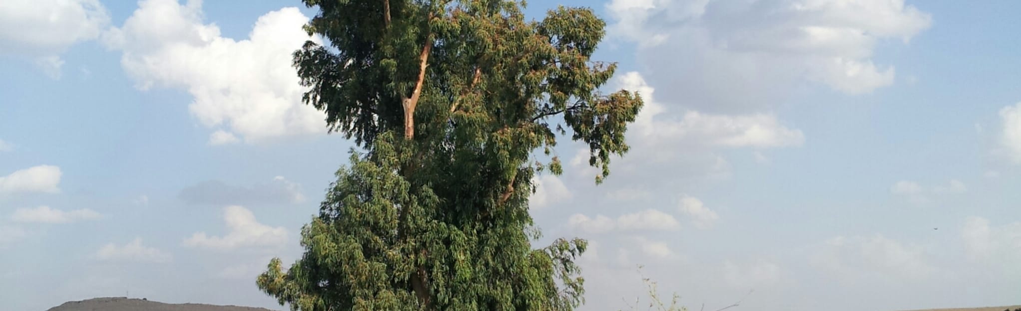 Gamla Waterfall and Dolmen Route: 16 Reviews, Map - Golan Heights ...