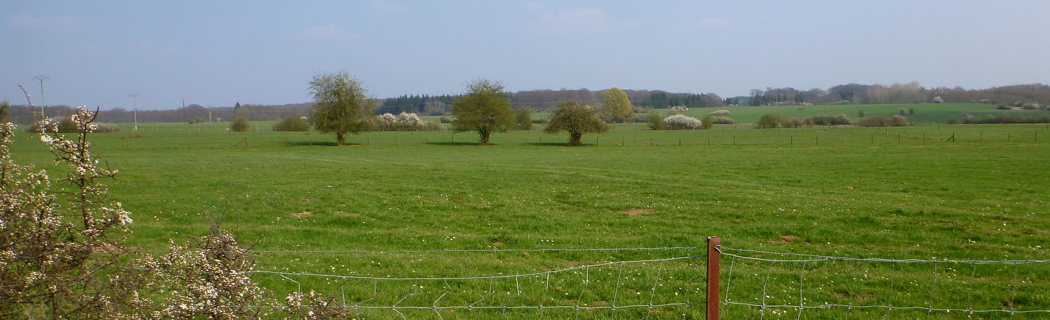 Mamer - Neimillen | Map, Guide - Capellen, Luxembourg | AllTrails