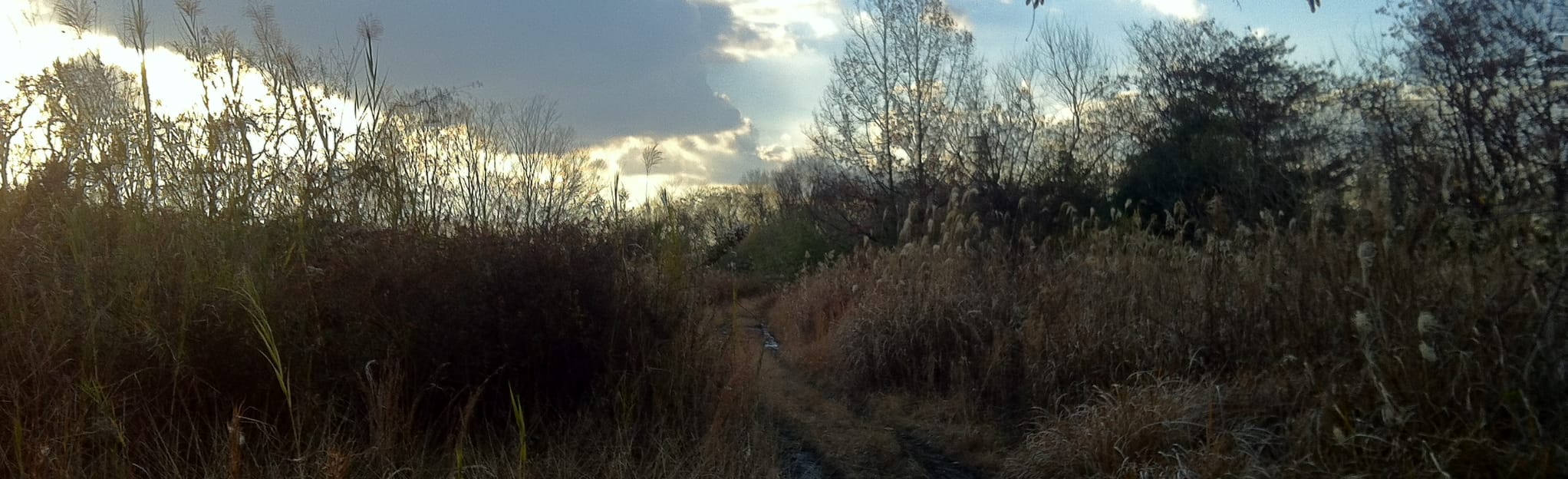 Kasagi Kaido : Nakagawa, Kyoto, Japan - Map, Guide | AllTrails