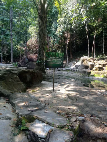 Best Hikes and Trails in Teluk Bahang Forest Park | AllTrails