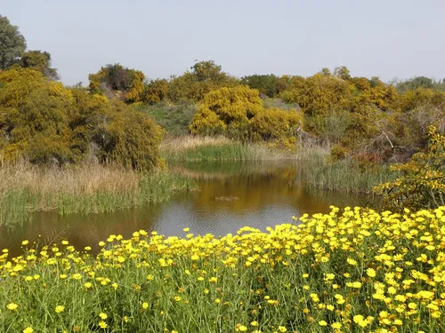 Best Hikes and Trails in Nitzanim Sands Nature Reserve | AllTrails