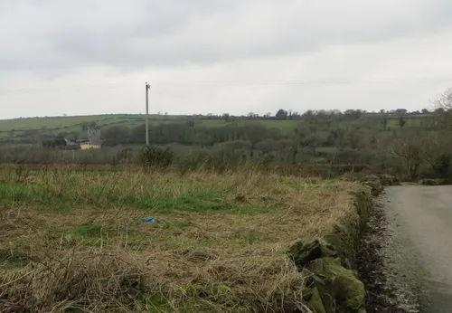 Best Hikes and Trails in Glenbower Wood | AllTrails