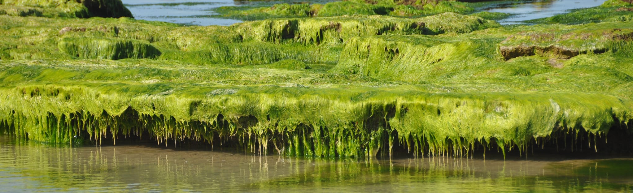 Poleg Beach Walk, Central District HaMerkaz, Israel - 8 Reviews, Map ...