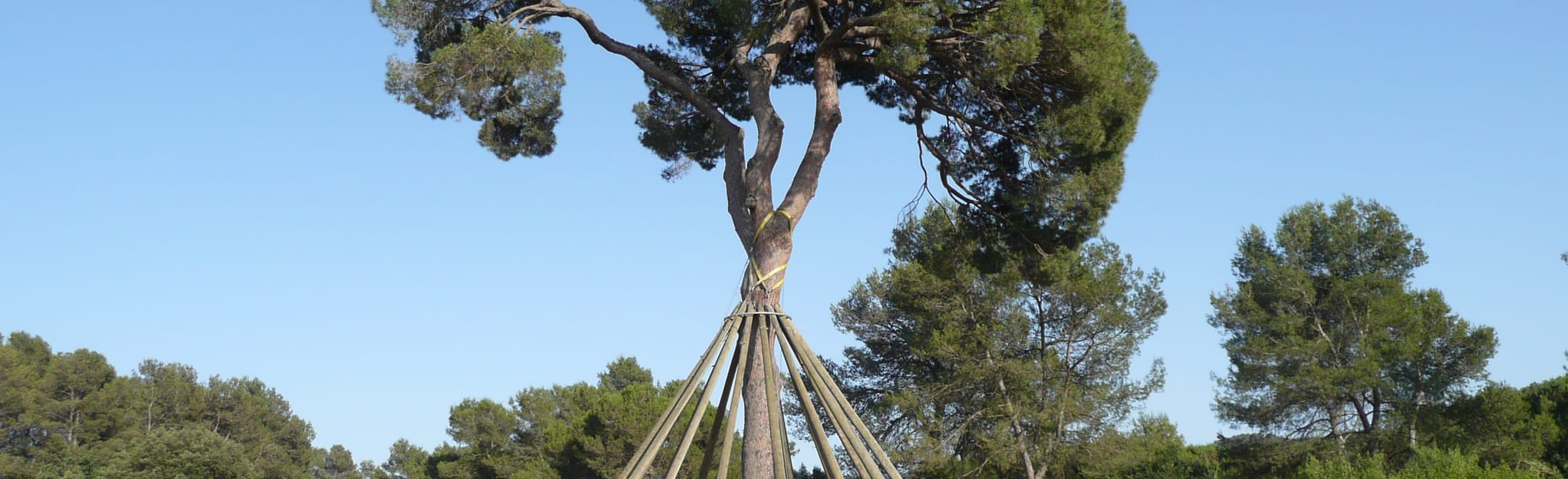 Sol i Aire - Sant Cugat | Map, Guide - Barcelona, Spain | AllTrails