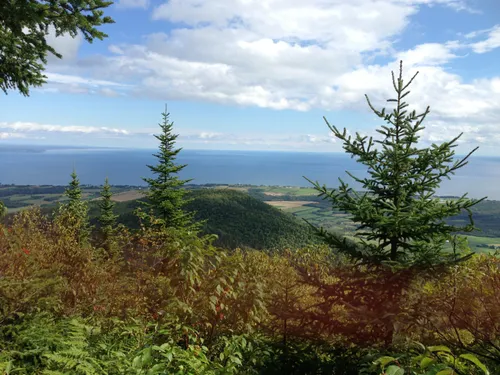 2023 Best 10 Moderate Trails in Carleton-Sur-Mer | AllTrails