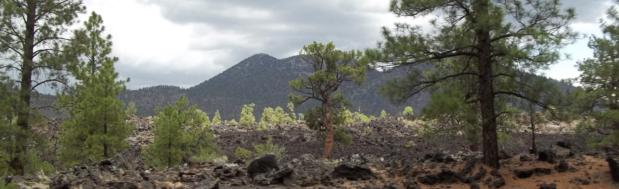 Lava and Cinder Hills OHV Trail - Arizona | AllTrails