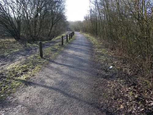 Best Hikes and Trails in Outwood Country Park | AllTrails