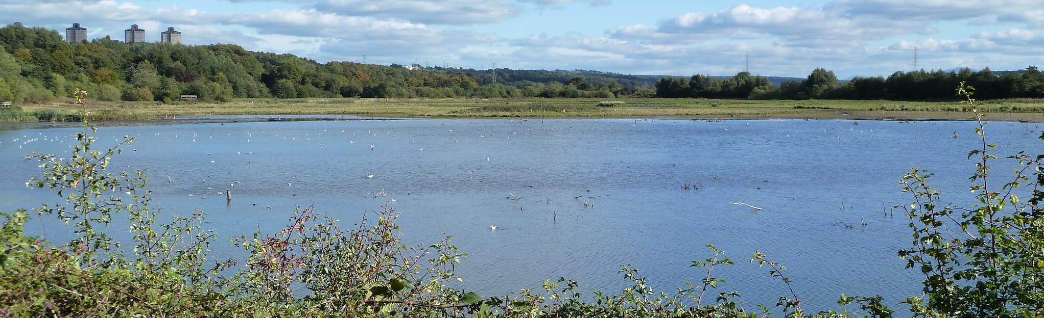 Baron's Haugh Circular: 21 Reviews, Map - North Lanarkshire, Scotland ...