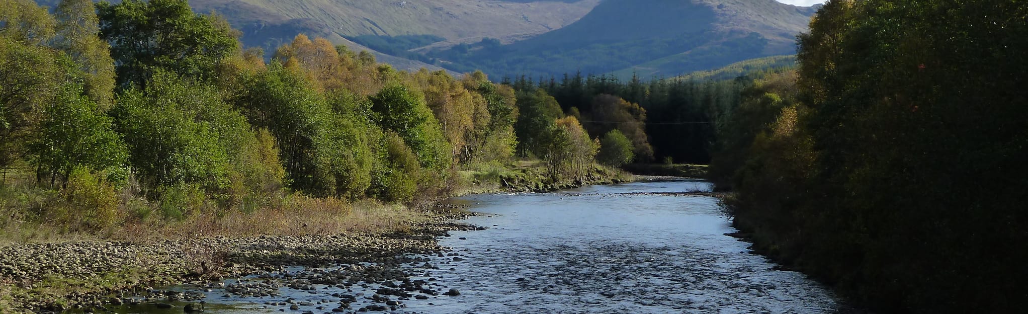 Crianlarich to Tyndrum: 99 Reviews, Map - Stirling, Scotland | AllTrails