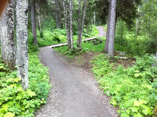 10 Best Trails and Hikes in Prince George | AllTrails