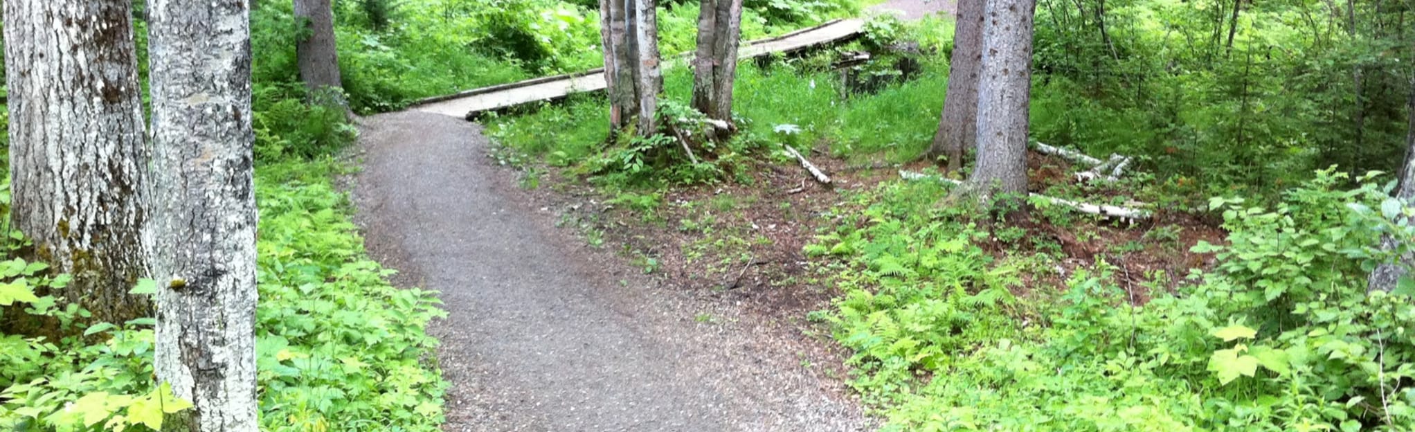 Greenway Trail to Shane Lake Loop - British Columbia, Canada | AllTrails