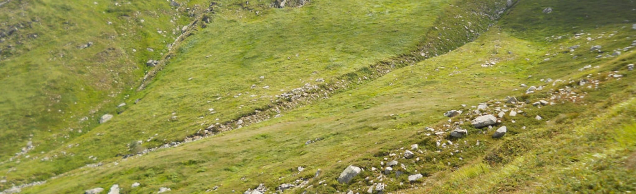Rifugio Rio Pascolo - La Gabellina - Cerreto Alpi, 15 Photos - Emilia ...