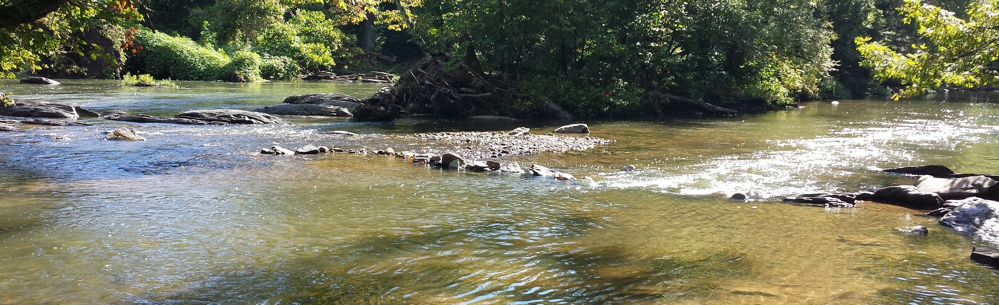 Potomac Heritage Trail and Yellow Trail Loop: 282 Reviews, Map ...