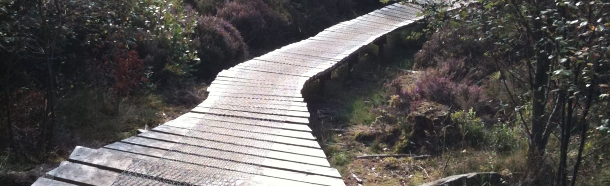 Circuit Mabie Forest - Loch Arthur Plantations: 5 foto's - Dumfries and ...