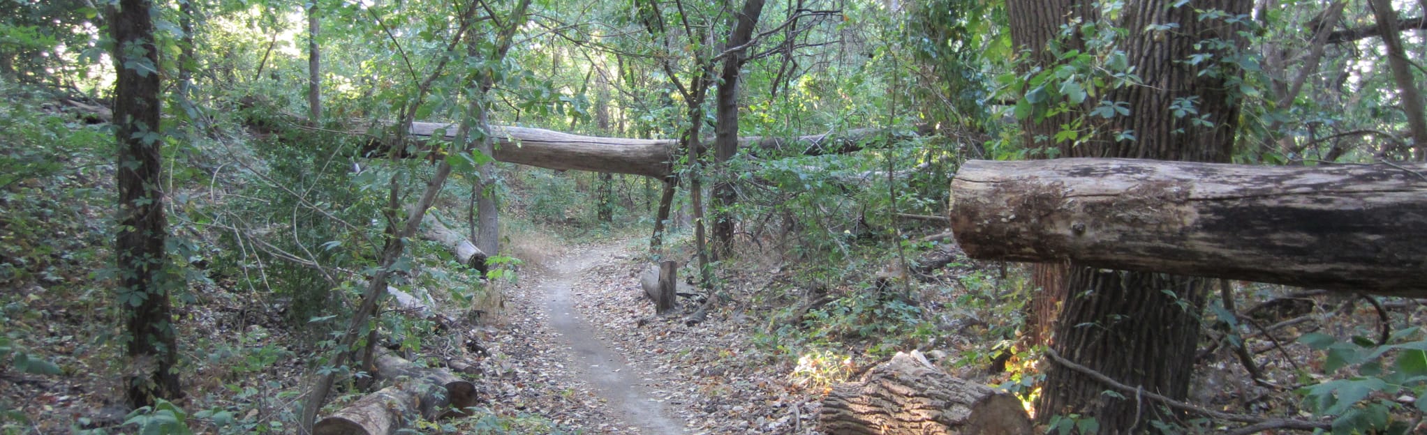 Lawrence Riverfront Loop, Kansas - 69 Reviews, Map | AllTrails