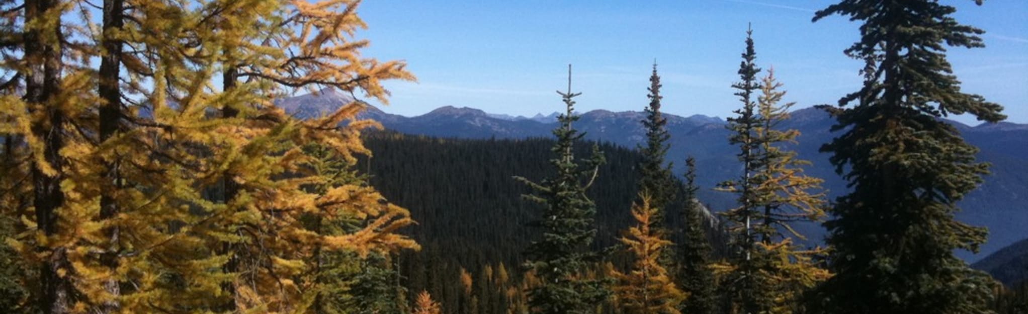 Alder Ridge OHV Trail : 3 Reviews, Map - Washington | AllTrails