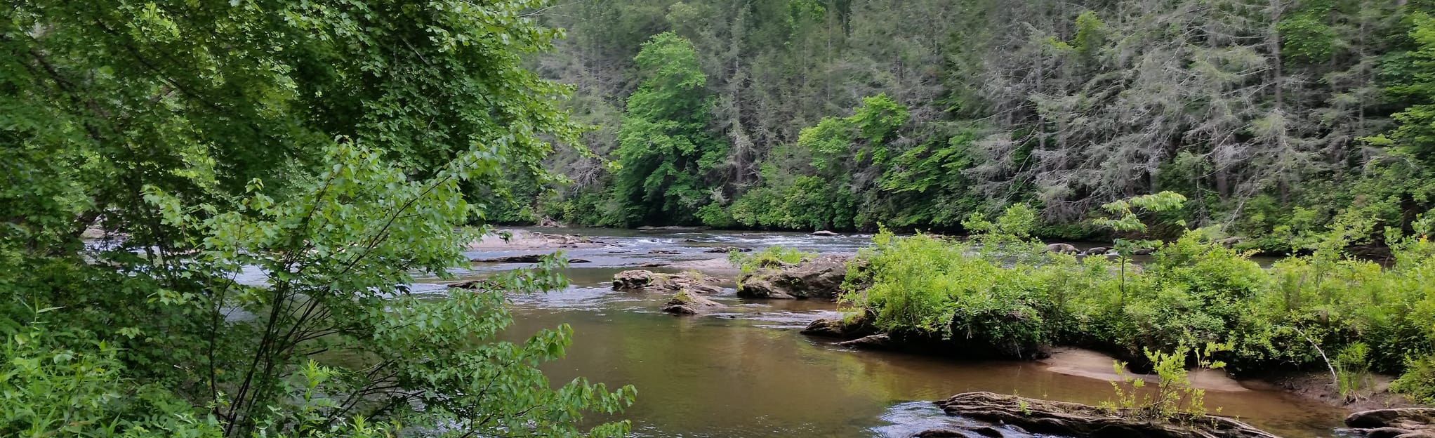 Bartram Trail to Sandy Ford: 100 Reviews, Map - South Carolina | AllTrails