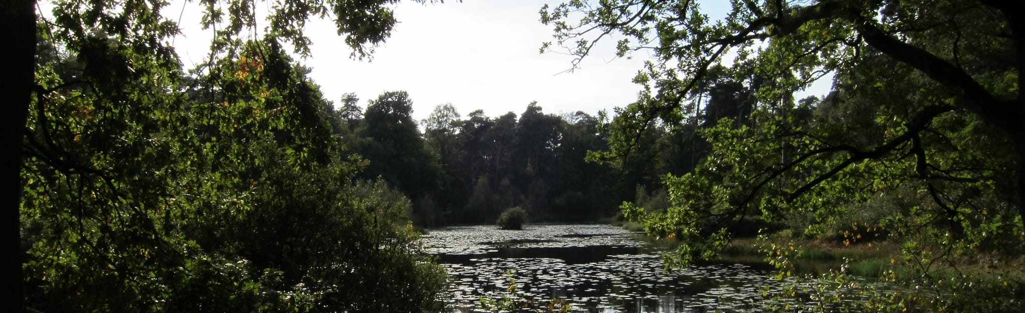Vennenroute Strabrechtse Heide: 60 Fotos - Nordbrabant, Niederlande ...