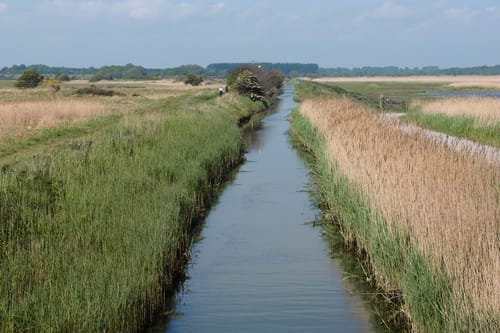 Best 10 Trails and Hikes in Suffolk | AllTrails
