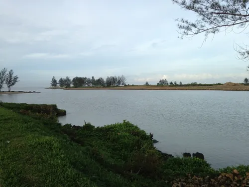 10 Best Kid Friendly Trails in Bintulu | AllTrails